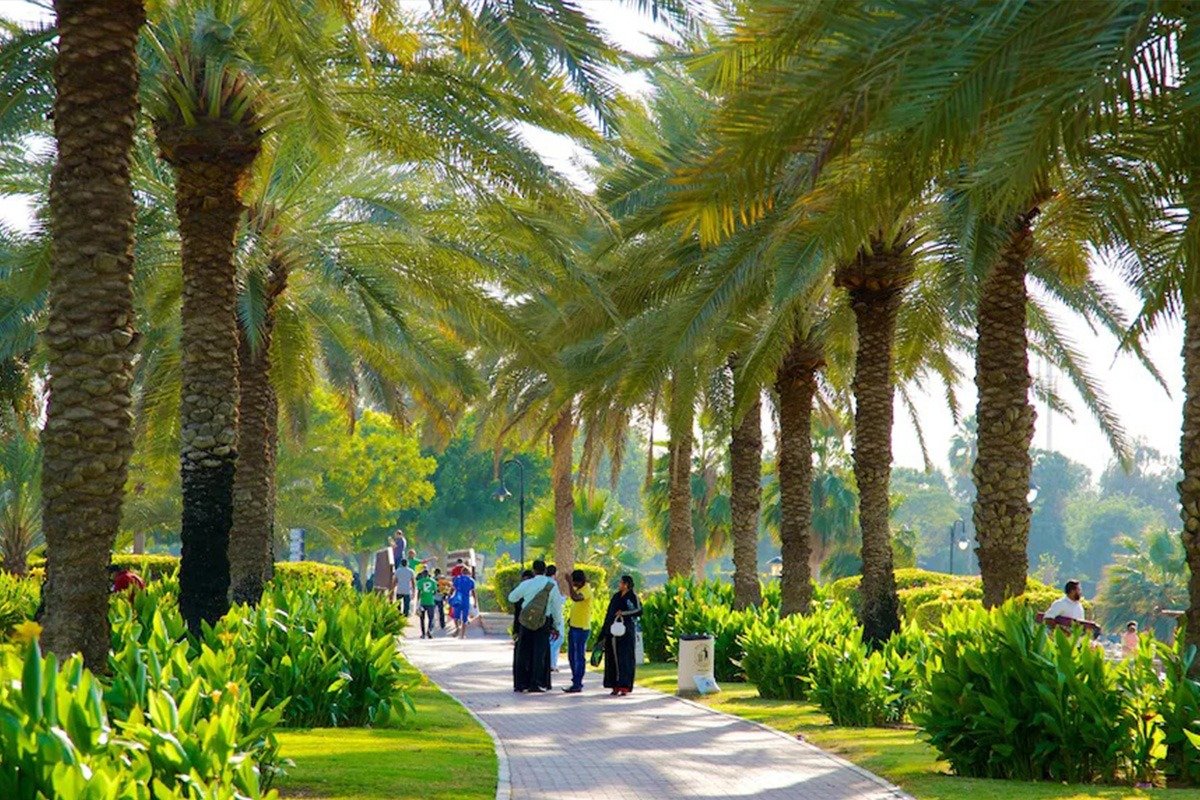 Al Safia Park – Family-Friendly Green Escape - Tour DXB